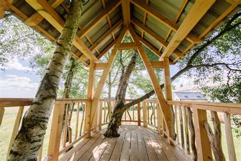 How Timber Framing Shapes The Tree Houses Uk Industry — Treehouse