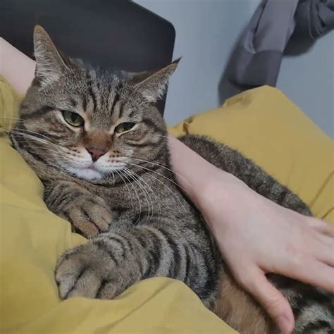 240919 옆에 딱 붙어서 그르냐 Youtube