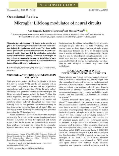 Pdf Microglia Lifelong Modulator Of Neural Circuits