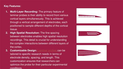 Ppt Understanding Laminar Probes A Look Into Advanced Neural