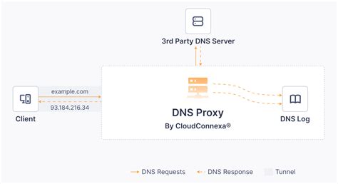 About Dns Log