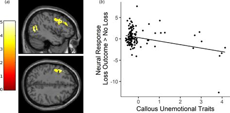 Antisocial Behavior Is Associated With Reduced Frontoparietal Activity