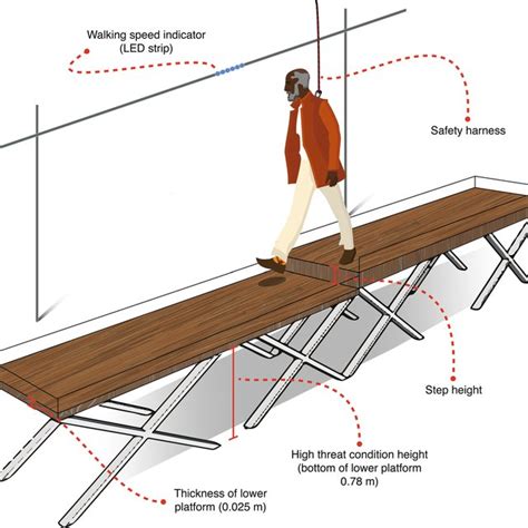 Experimental Set Up Of The Postural Threat Condition Participants Were Download Scientific