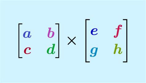 Matrices Y Determinantes Archivos Neurochispas