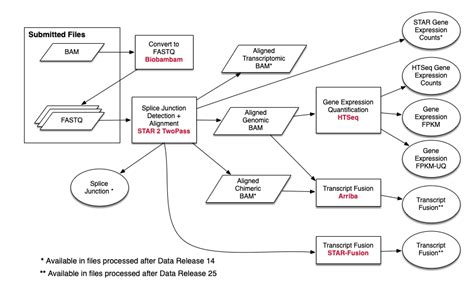Bioinformatics Pipeline MRNA Analysis GDC Docs