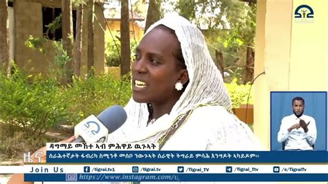 ሰራሕተኛታት ፋብሪካ ስሚንቶ መሰቦ ንውጉኣት ሰራዊት ትግራይ ምሳሕ እንግዶት ኣካይዶም፡፡ Youtube