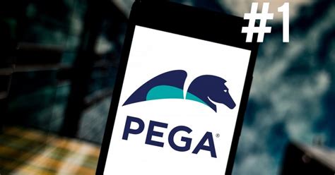 From Ibm To Pega 1 The Process Definition Integration And Application