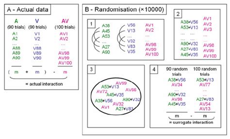 2 Steps Of The Randomization Test For Assessing The Statistical Download Scientific Diagram