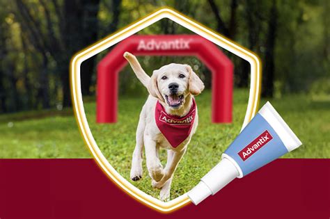 Info Del Proyecto Elanco Adtab Y Advantix