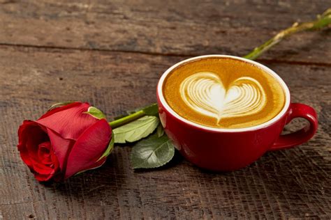 무료 이미지 식기류 식품 Espressino 커피 컵 쿠바 에스프레소 마시는 것 위 너 멜란지 평평한 흰색