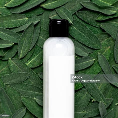 화장품 Spa 브랜딩 모형 천연 미용 유기농 제품 크림이 들어간 화장품 용기 신선한 녹색 현자의 질감에 로션이 상단을 떠납니다 브랜딩을 위한 빈 레이블입니다 약용 식물 환경