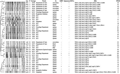 Clinical Features Molecular Characterization And Dendrogram Based On