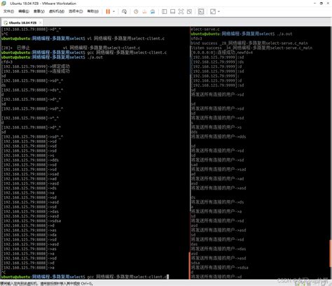 C语言tcp客户端与并发服务器实现 Csdn博客