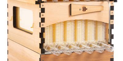 Do I Need To Clean The Flow Frames