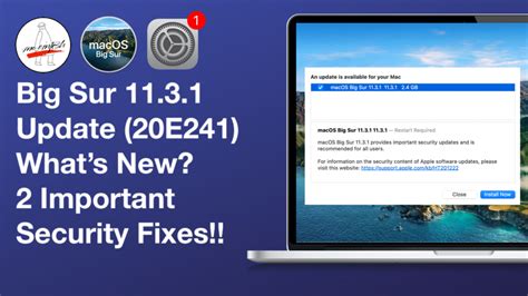 Macos Big Sur 11 3 1 Pilothospital