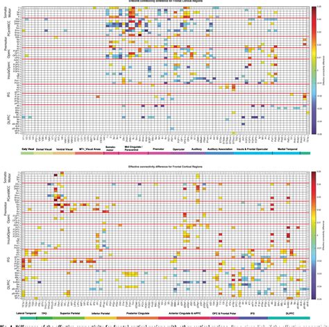 Figure 2 From Prefrontal And Somatosensory Motor Cortex Effective Connectivity In Humans