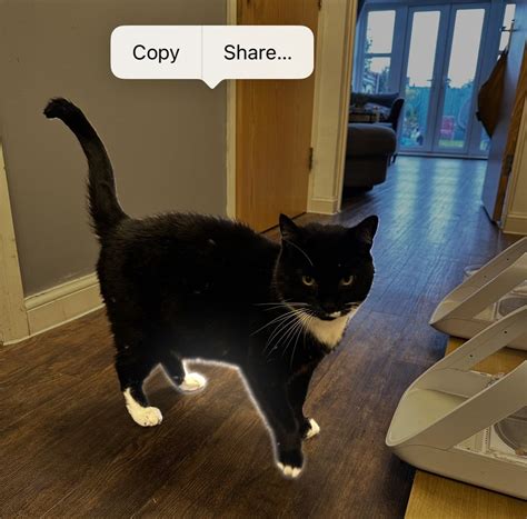 This IOS 16 Feature Will Blow Your Mind Tom S Guide
