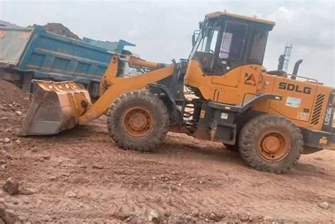 The Sycomore Fig Mukuyu Tree Ecological Significance Uses And Conservation