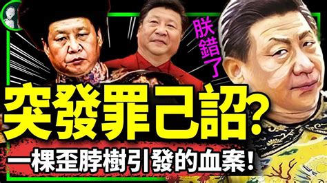 習近平用特殊方式下罪己詔！西南重鎮突發輿情：党的接班人是他？35名在以色列中國人求助臺灣政府（老北京茶館第1032集20231023