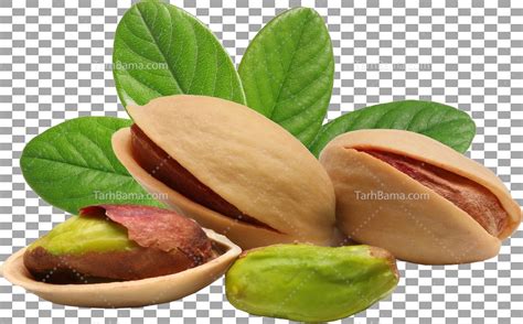 تصویر با کیفیت پسته باز شده بدون پس زمینه