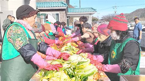 금산군 남이면남녀새마을지도자협의회 사랑의 김장담그기 봉사 금산신문