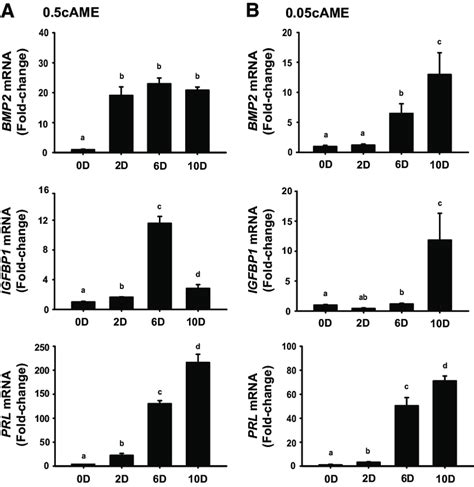 Temporal Pattern Of Expression Of Differentiation Associated Genes In