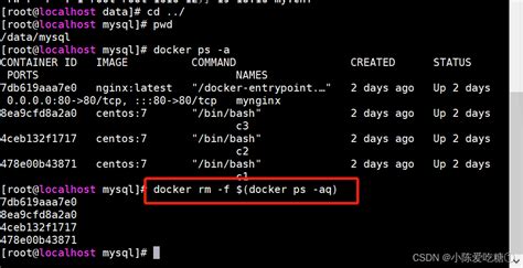 Dockernacos的持久化和集群部署docker Compose部署nacos和mysql持久化 Csdn博客