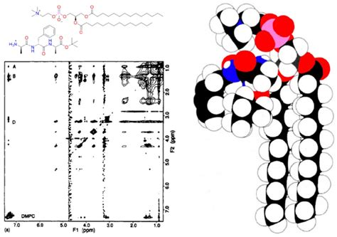 32 Structure Of The Complex Between The Protected Peptide Download Scientific Diagram