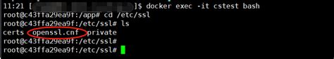 docker net sqlserver异常System Data SqlClient SqlException x provider SSL