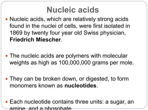 Nucleic Acid Types And Structure Pptx Full PPT