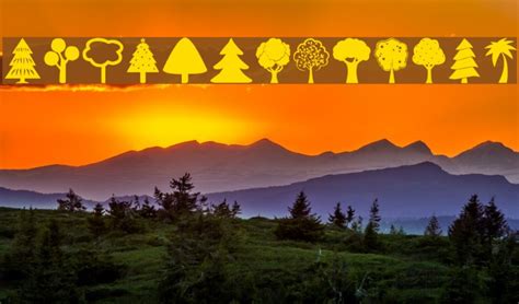 Tree Icons Font FFonts Net