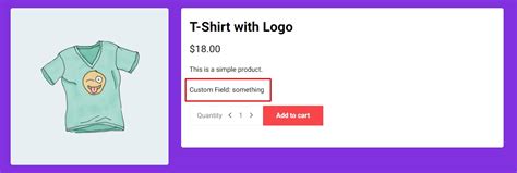 how to add custom field in woocommerce product without plugin