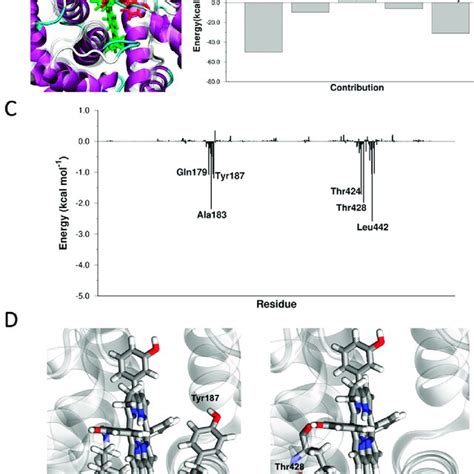 A Superposition Of The Docked Structure Of Mthpc In Afamin In Green Download Scientific