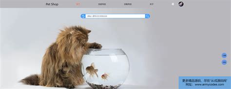 基于Java Springboot vue的宠物交易领养系统 java毕业设计 从戎源码网 从戎源码网
