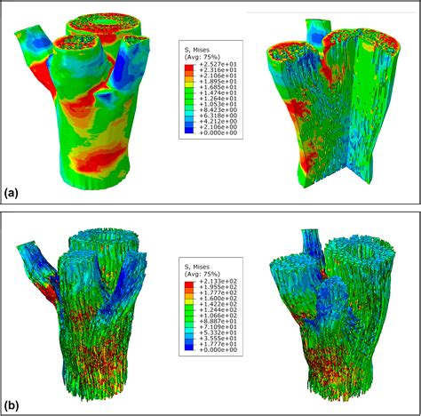Biomimetic Systems And Design In The 3d Characterization Of The Complex Vascular System Of