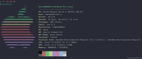 macos终端 iterm2 美化 zsh 配合 neofetch 个性化显示系统信息 mac neofetch csdn博客
