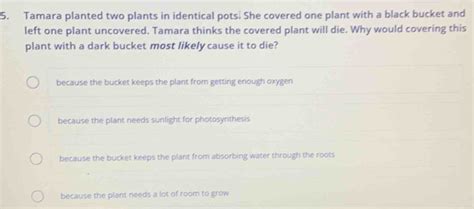 Solved 5 Tamara Planted Two Plants In Identical Pots She Covered One