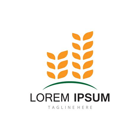 Agriculture Wheat Vector 22053802 Vector Art At Vecteezy