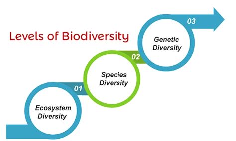 Biodiversity