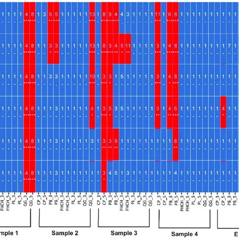 Dna Fragment Length Distributions Of Collapsed Left And Non Collapsed