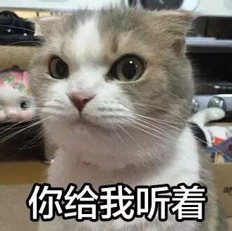 你给我听着表情包
