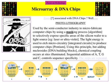 Ppt Microarray For Dummies Powerpoint Presentation Free Download