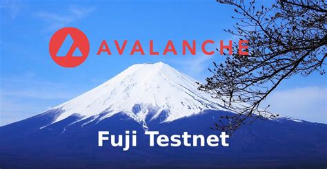 Set Up A Validator Node On The Avalanche Fuji Testnet By Pnz Medium