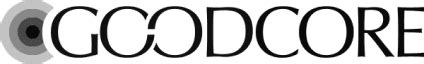 Types Of Encryption That You Must Know About Goodcore