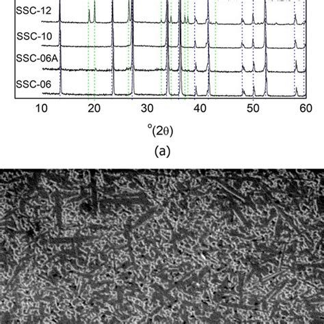 A X Ray Powder Diffraction Patterns Of The Samples S Is The Si 2 On Download Scientific