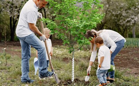 Amazon Com LipLopBest Pcs Tree Trunk Protector Size Plastic Tree Guard Spiral Type Tree