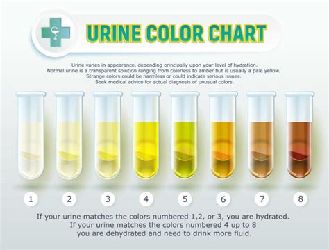 Free Printable Urine Color Charts Qrjmn