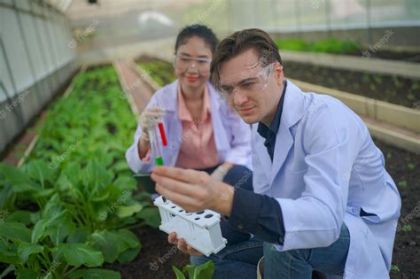 Premium Photo Scientist Collecting Hydroponic Vegetables Sample For Analysis