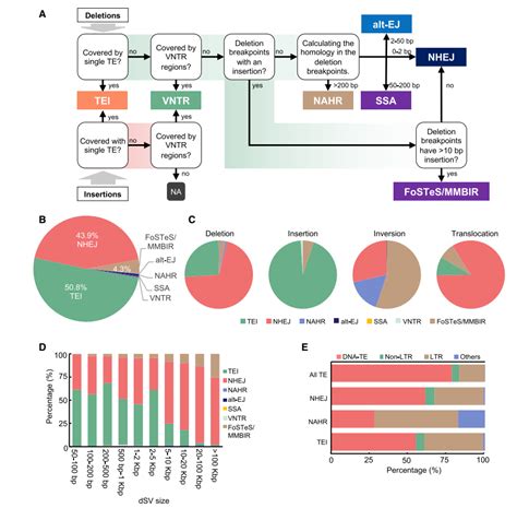 Cell：基于33个遗传多样性水稻种质泛基因组分析揭示“隐藏”的基因组变异 知乎