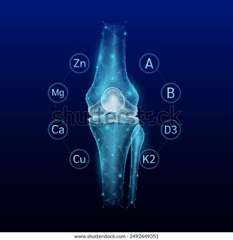 Leg Bone Translucent Polygon Style Surrounded Stock Vector Royalty